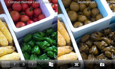 Chromatic Vision Simulator: Ứng dụng xem tranh hấp dẫn cho những người gặp khiếm khuyết về mắt