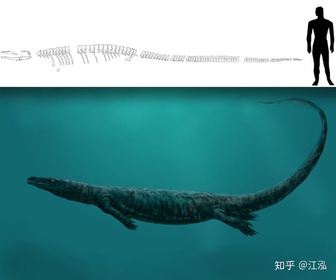 Pannoniasaurus: Quái vật dài 6 mét ở vùng nước ngọt của Hungary