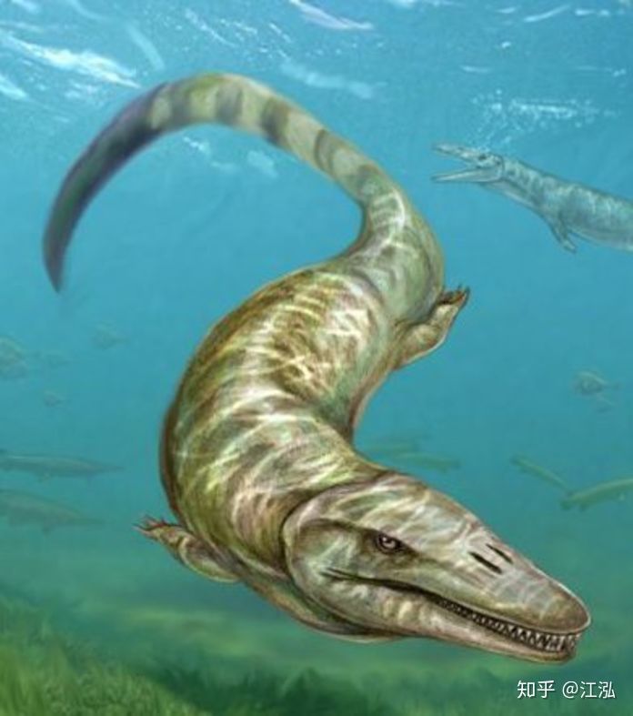 Pannoniasaurus: Quái vật dài 6 mét ở vùng nước ngọt của Hungary