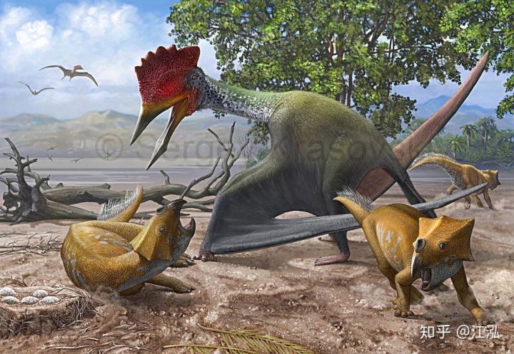 Pannoniasaurus: Quái vật dài 6 mét ở vùng nước ngọt của Hungary