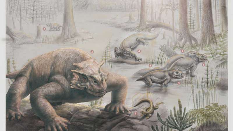 Phải mất 10 triệu năm sự sống trên Trái Đất mới có thể phục hồi sau sự ...