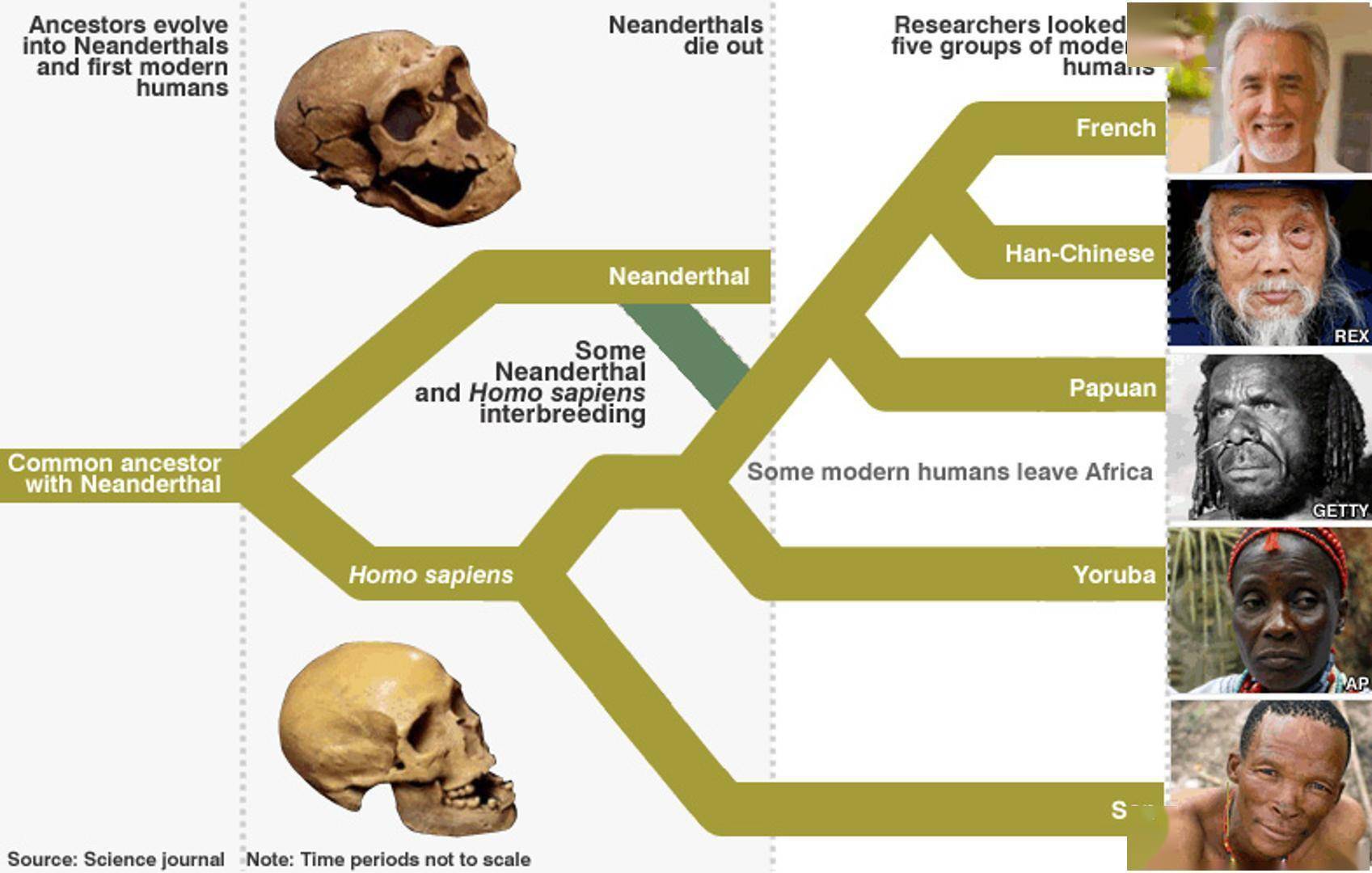 Nghiên cứu DNA chỉ ra rằng, chỉ ít hơn 2% trong gen con người thực sự ...