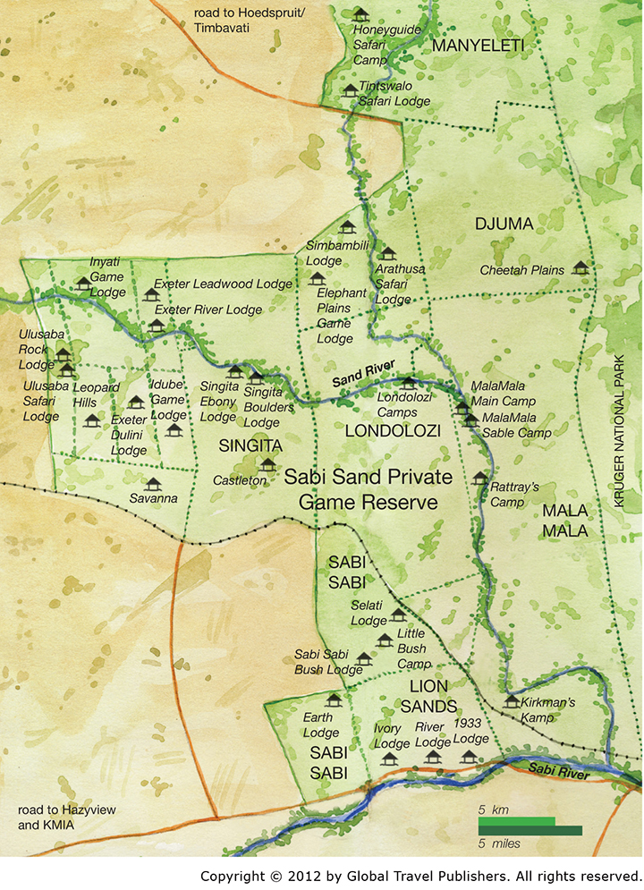 Làm thế nào mà báo hoa mai có thể sinh sống ở Châu Phì dù bị sư tử truy ...