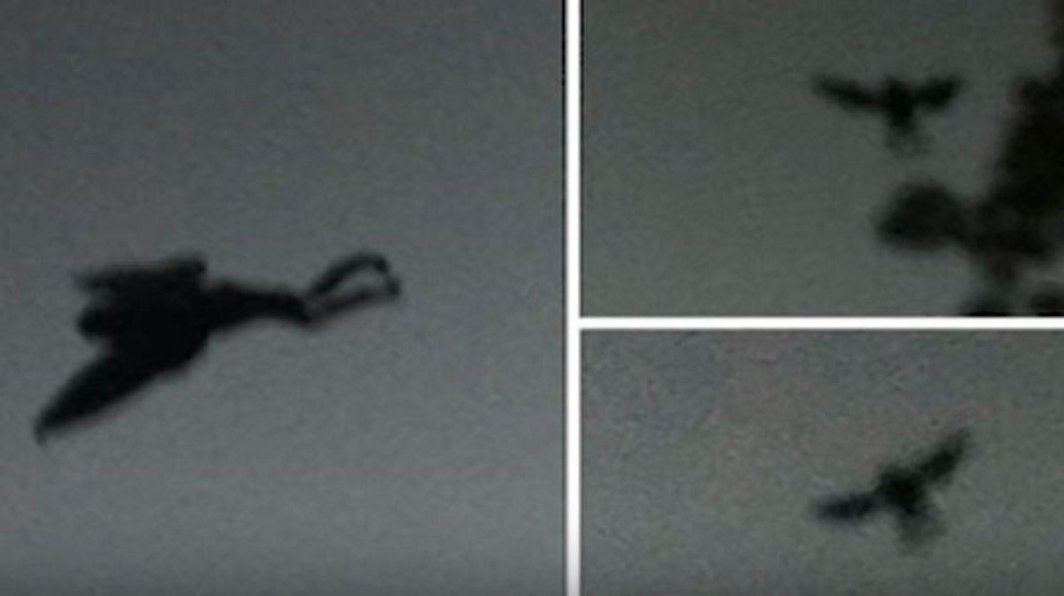 Mothman: Truyền thuyết đô thị hay sinh vật chưa được biết đến?