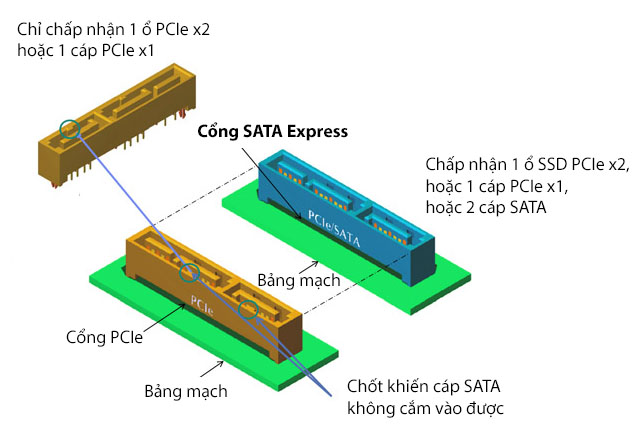 Tìm hiểu về cổng kết nối SATA Express trên thiết bị lưu trữ