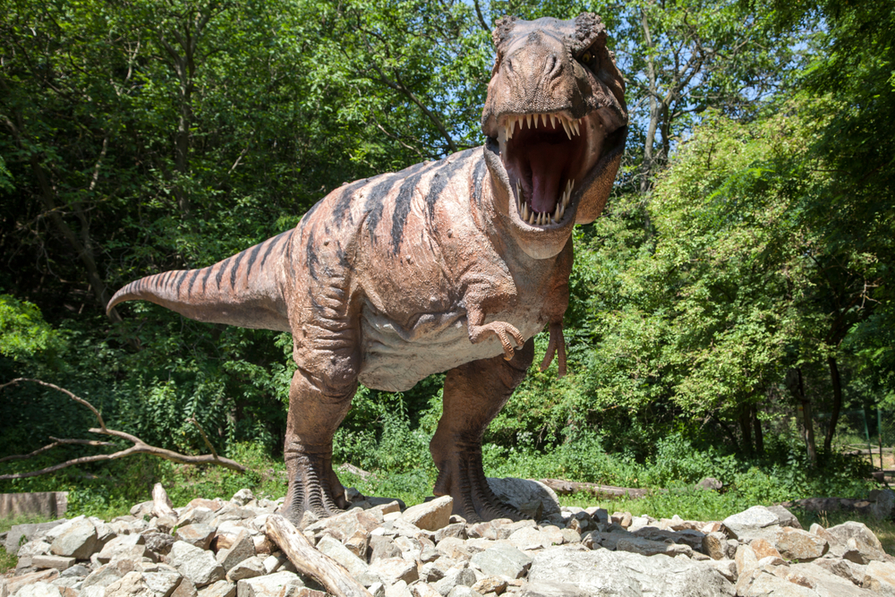 Phát hiện mới có thể giúp giải thích vì sao khủng long T-Rex có cánh ...