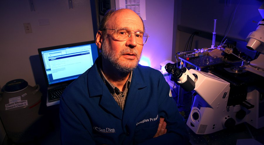 Nếu như Leonardo DiCaprio là "thánh nhọ" của điện ảnh thì đây chính là ...