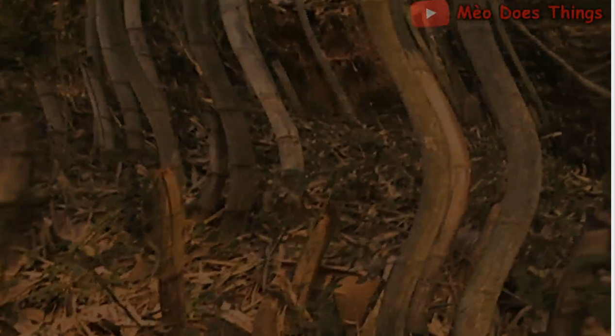 Thanh niên Việt Nam làm phim kinh dị tìm Slender Man trong rừng, diễn ...