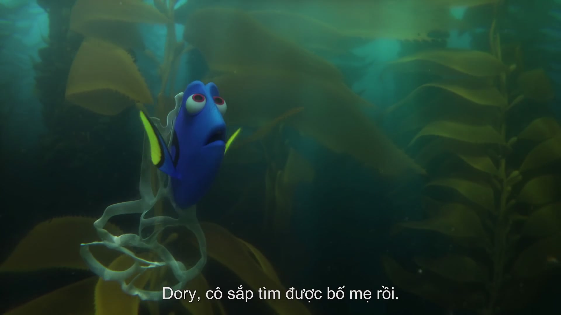 Phim hoạt hình Finding Dory tiết lộ trailer với các nhân vật mới
