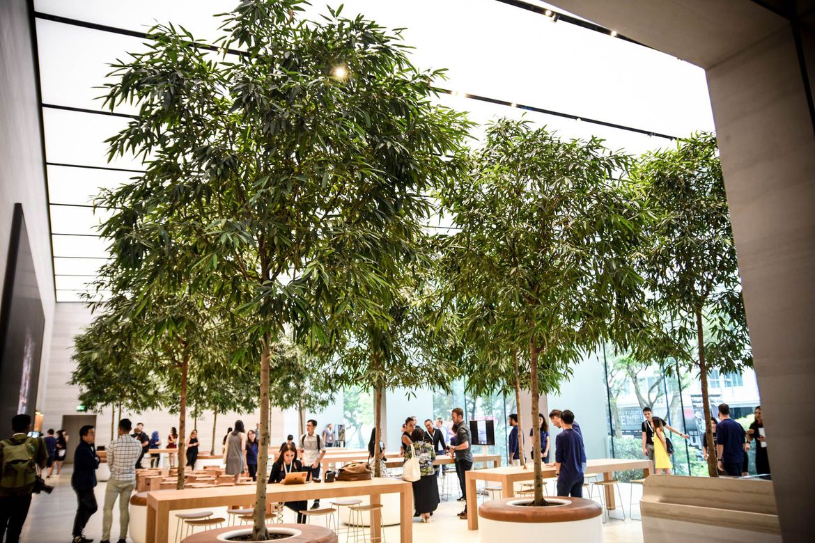 Bên trong Apple Store mới toanh tại Singapore, cửa hàng chính chủ đầu ...