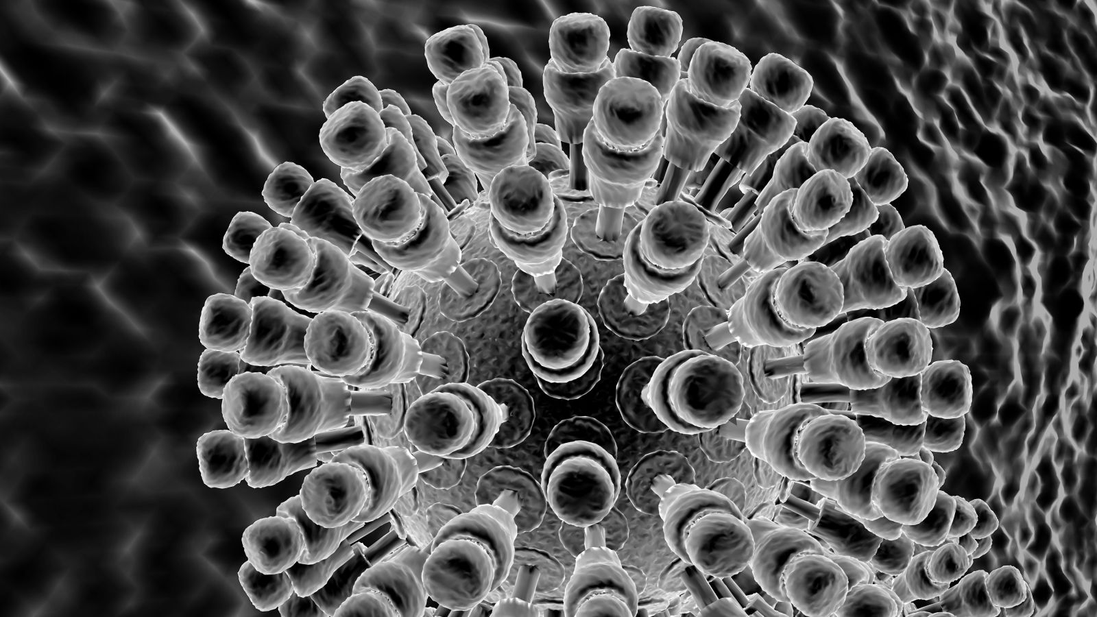 Phát hiện bằng chứng cho thấy virus "nói chuyện" với nhau, mở ra tương ...