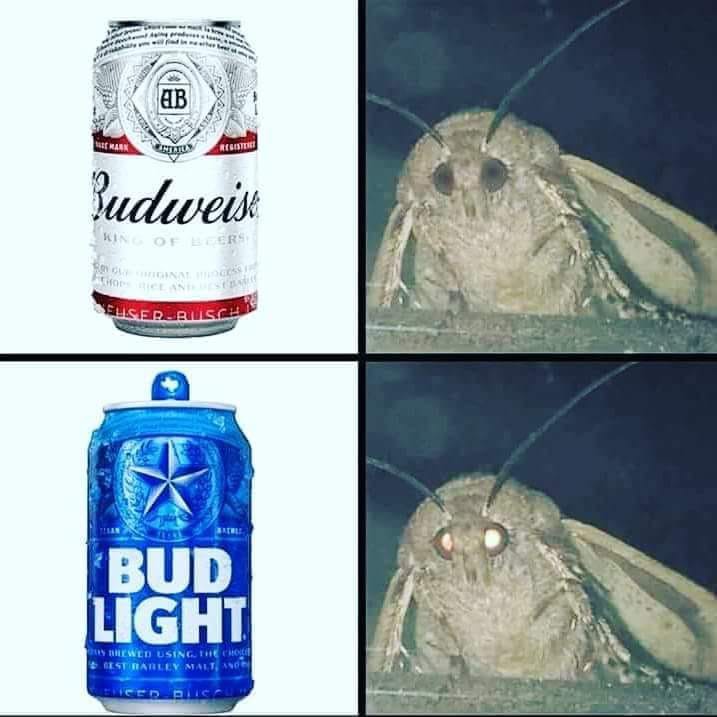 Nguồn gốc của loạt meme bướm đêm và chiếc đèn đang khuynh đảo Internet