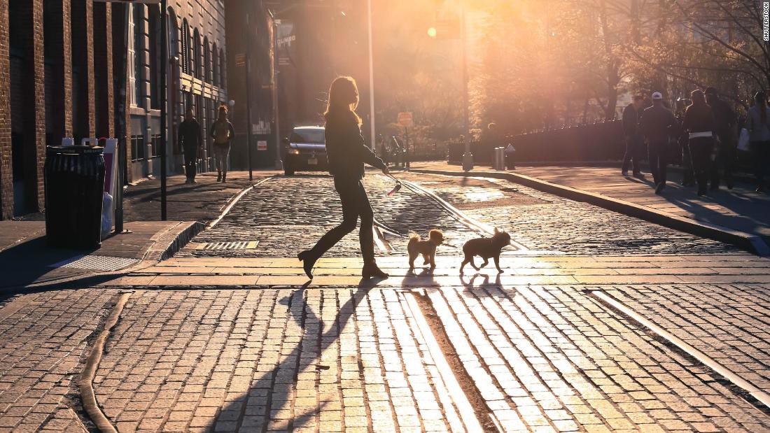 Từ ngưỡng cửa của một điều vĩ đại, startup dắt chó đi dạo Wag đã "tuột ...