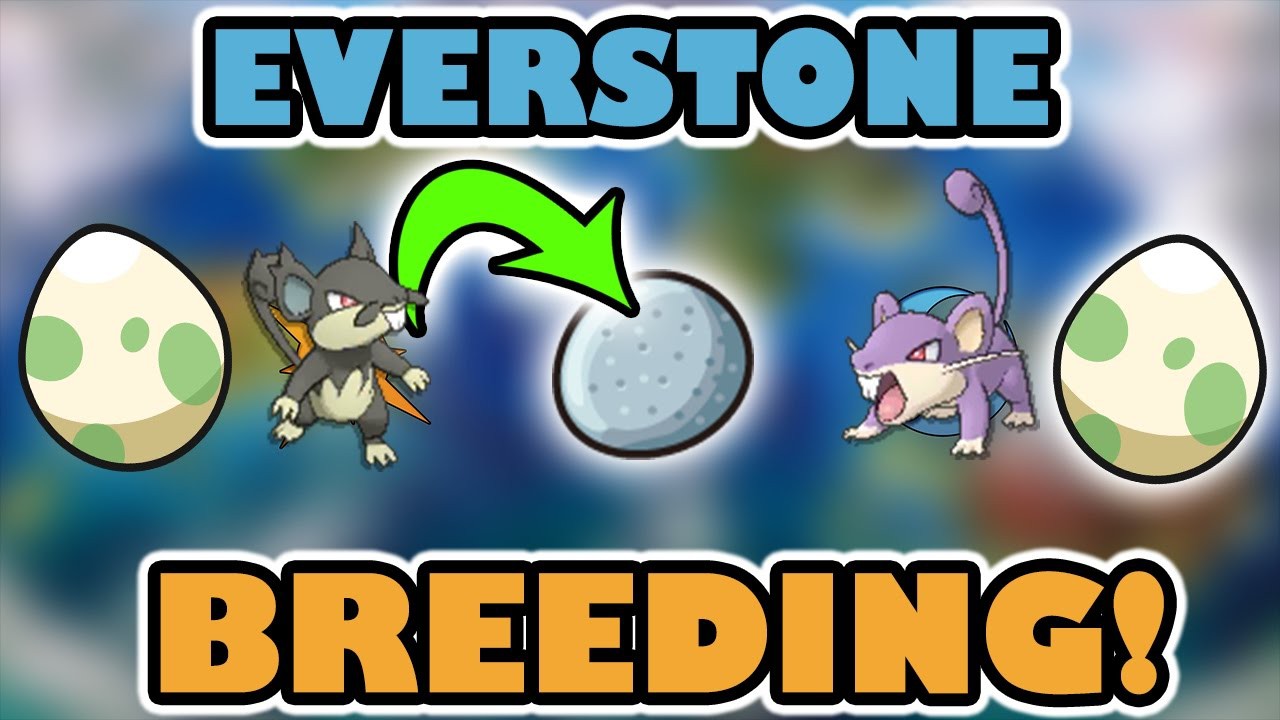 Viên đá Everstone có thật sự hữu dụng với các game thủ Pokemon?