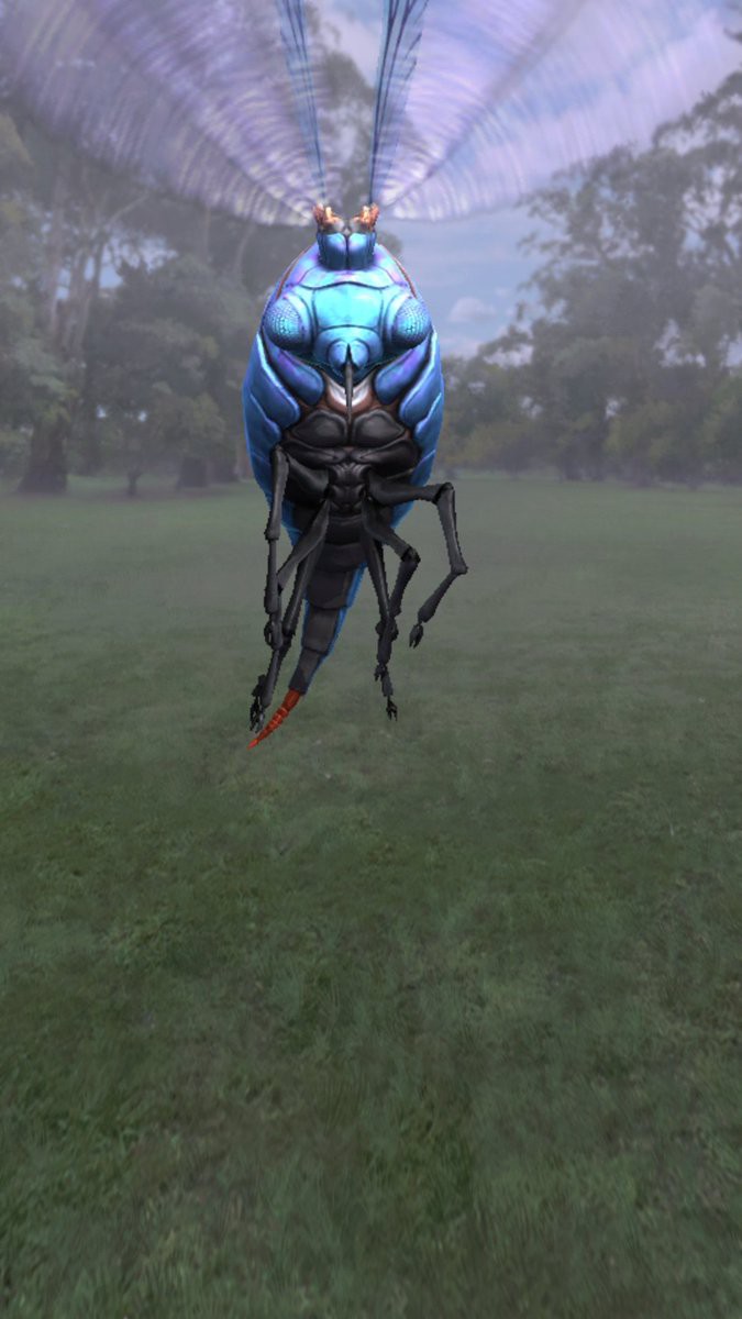 Tìm hiểu về Billywig: Khi phù thủy "phê pha" bằng... ong đốt