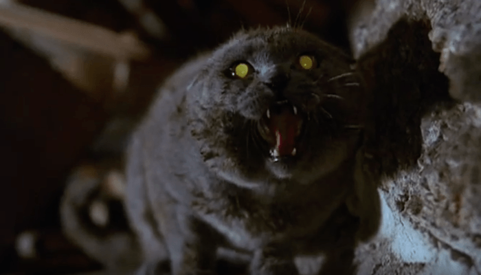 Pet Sematary: Cuốn tiểu thuyết kinh dị nhất của Stephen King tung ...