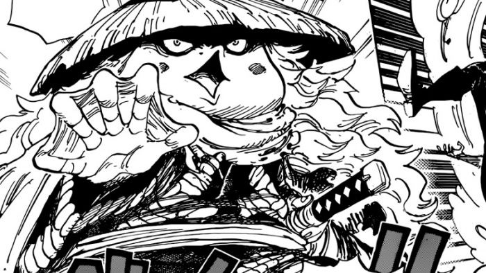 One Piece: Cửu Hồng Bao Kawamatsu có thể là Người Cá hay thuộc 1 chủng ...