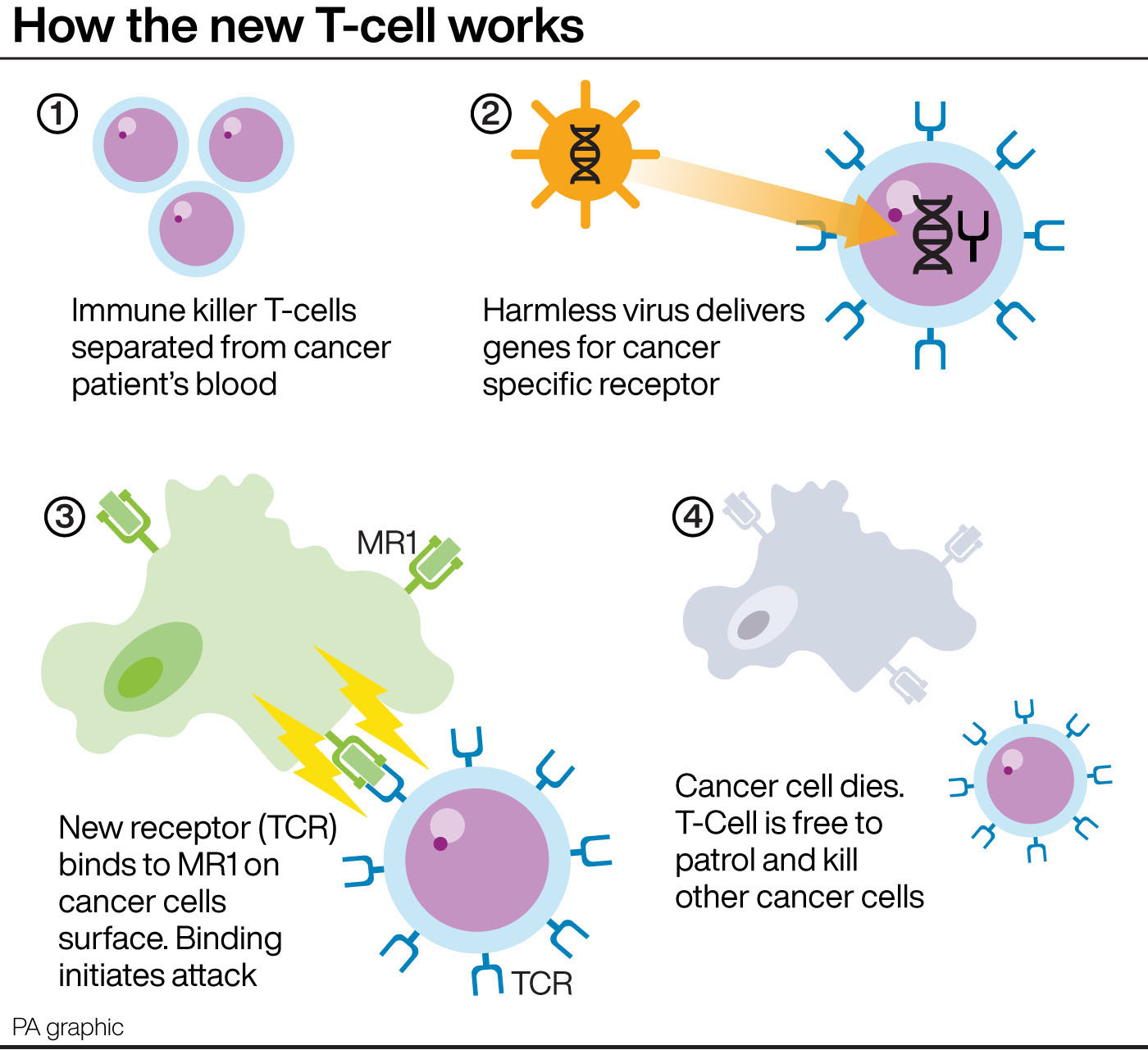Các nhà khoa học phát hiện ra một tế bào miễn dịch "có thể điều trị mọi ...