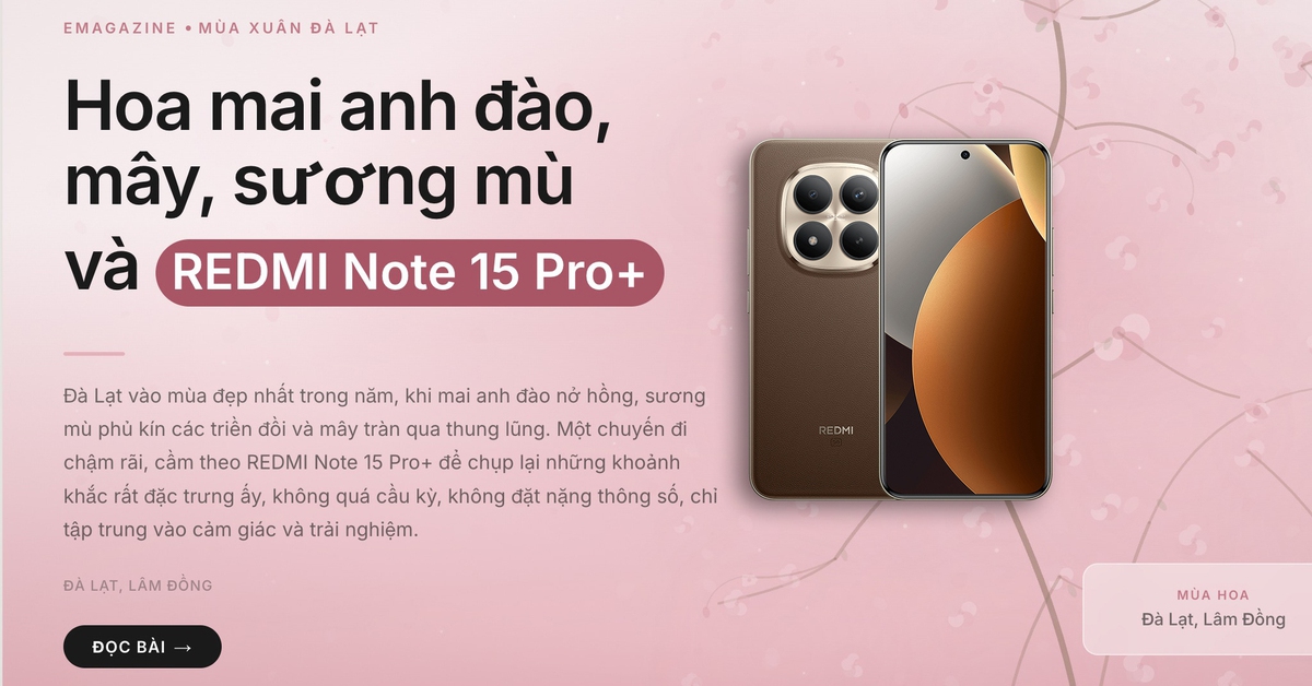 Hoa mai anh đào, mây, sương mù và REDMI Note 15 Pro+
