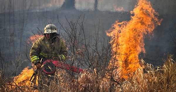 Các nhà khoa học đang điên đầu tìm cách đối phó những đám cháy zombie ...