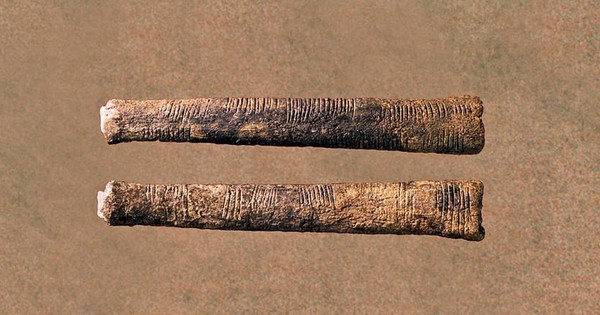 Xương Ishango: Làm sáng tỏ bằng chứng sớm nhất về toán học trong lịch ...