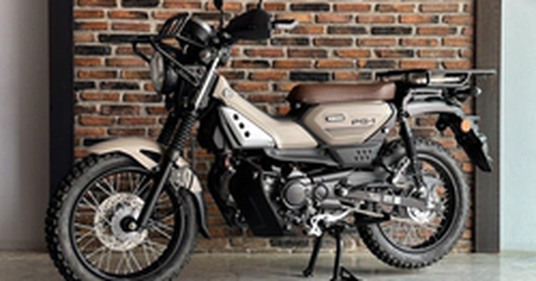 Ảnh chi tiết 3 bản độ chính hãng Yamaha PG-1: Giá cao nhất gần 11 triệu nhưng đáng chơi