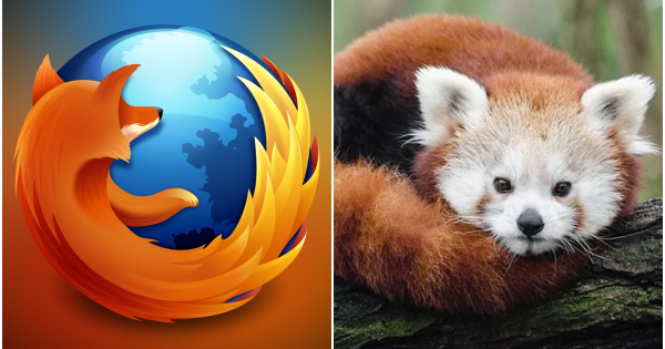 Ai cũng nghĩ biểu tượng trình duyệt FireFox là "Cáo lửa": Bất ngờ thay ...
