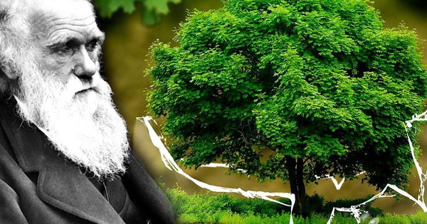 Thuyết tiến hóa do Darwin đề xuất có thực sự đáng tin?