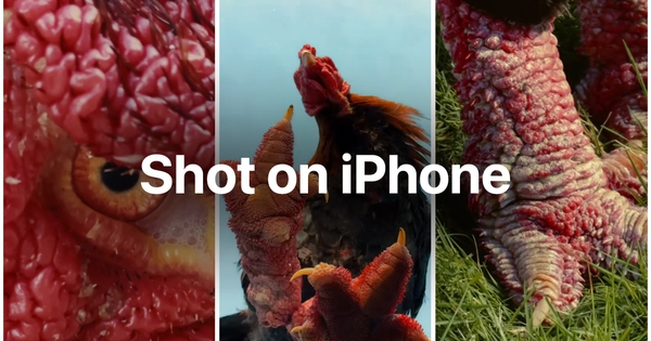 Tuyệt đối điện ảnh: Apple quay phim gà Đông Tảo bằng iPhone, nhưng cư ...