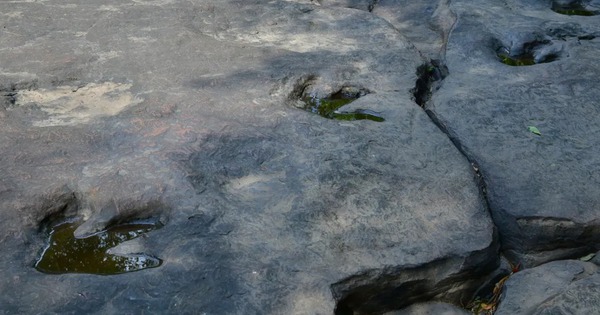 Bí ẩn khoa học đằng sau khả năng tồn tại hàng triệu năm của những dấu ...