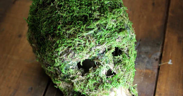 Kinh dị những phương pháp chữa bệnh bằng cách "ăn thịt người" (Phần 1)