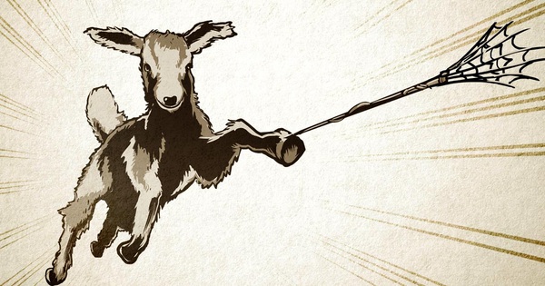 Người ta đã tạo ra dê lai nhện, vừa cho sữa vừa cho tơ