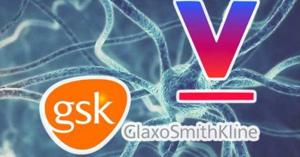 Google hợp tác với hãng GSK để phát triển các loại dược phẩm công nghệ ...