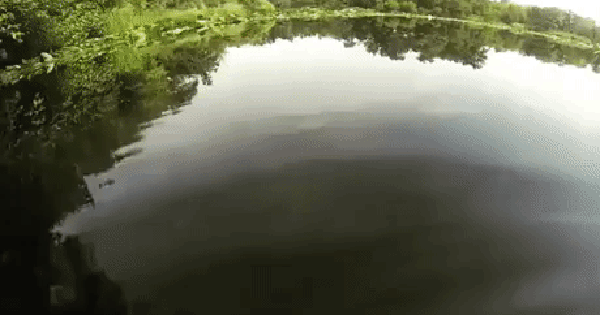 Những bức ảnh GIF này sẽ cho bạn thấy thiên nhiên tuyệt vời và thú vị ...