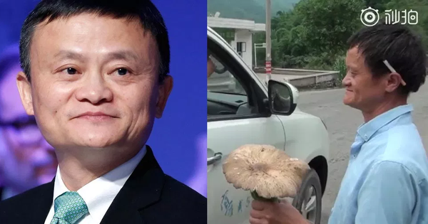 Trung Quốc: Phát hiện người đàn ông giống hệt Jack Ma rao bán nấm rừng ...