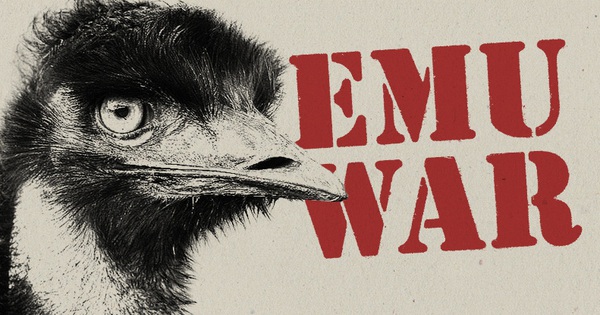 Chiến tranh Emu: thảm bại của quân đội Úc khi cố gắng đối đầu với những ...