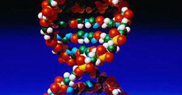 Giải mã DNA giá rẻ