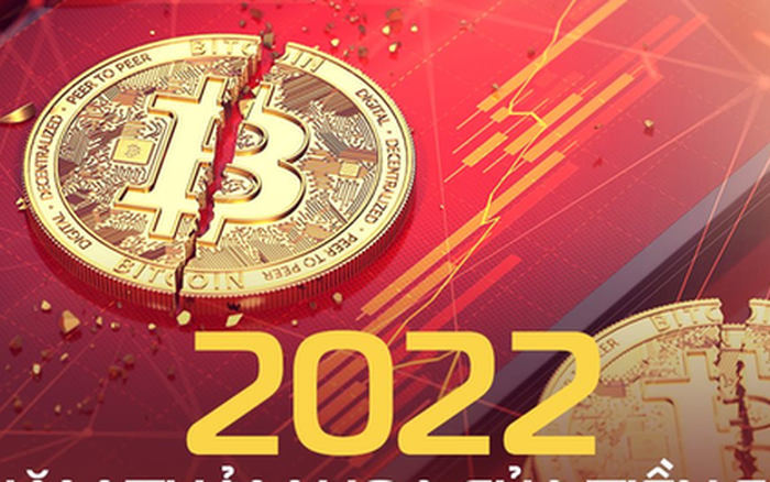 2022 - 'Mùa đông tiền số' lạnh lẽo bậc nhất lịch sử: Giá Bitcoin rơi 60 ...